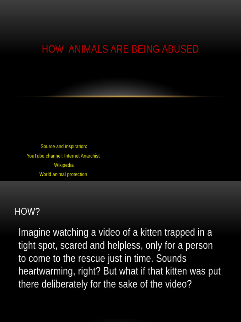 How Animals Are Being Abused | PDF