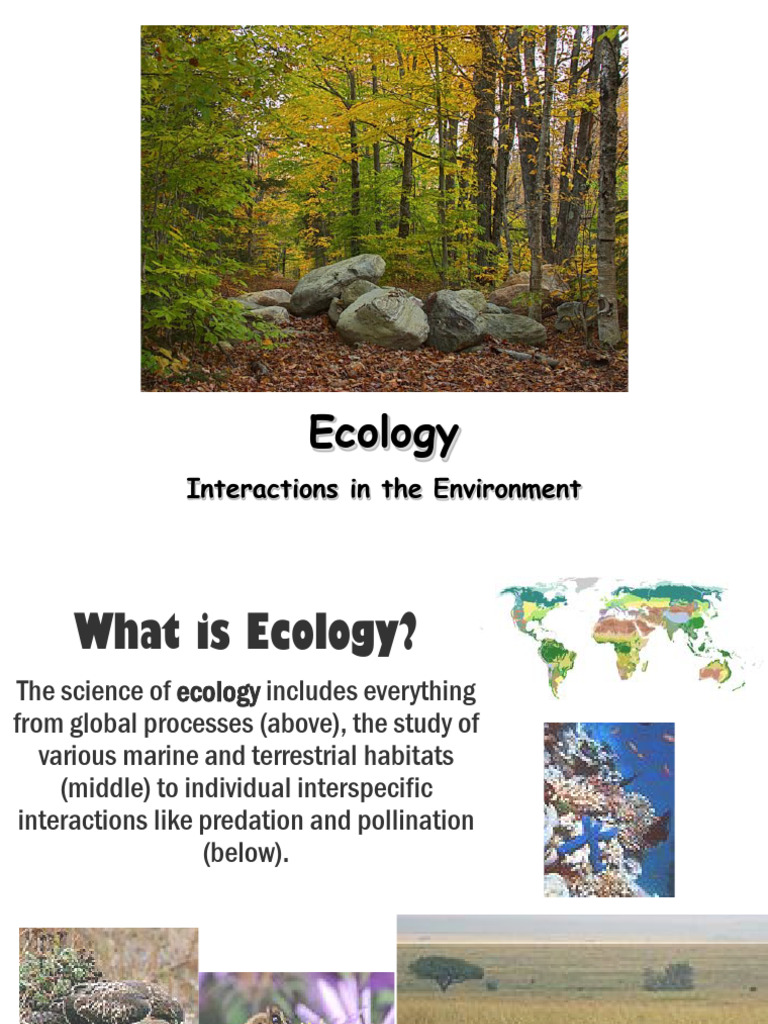 Understanding Ecology and Ecosystems | PDF | Food Web | Ecosystem