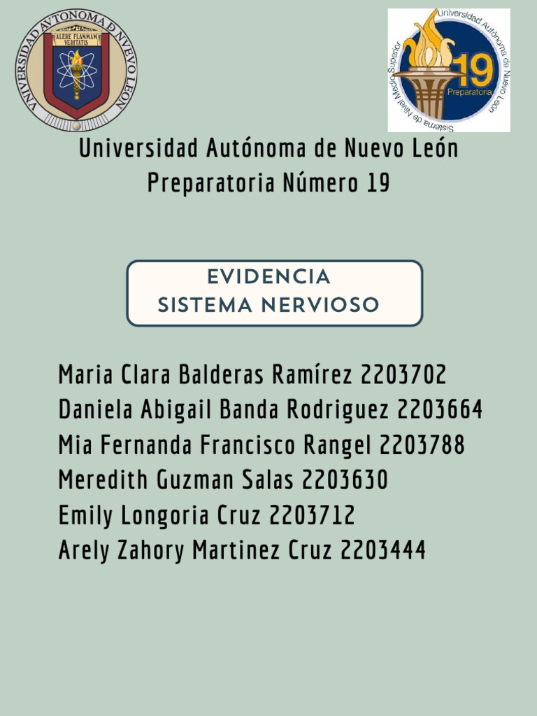 Ev4 - Equipo 5 - 414 | PDF | Nervio | Sistema nervioso