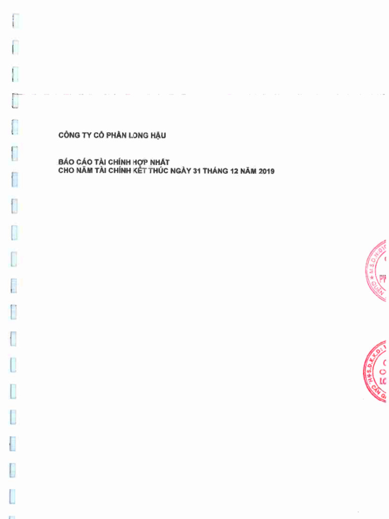 LHG - BCTC KT Hop Nhat Nam 2019 | PDF