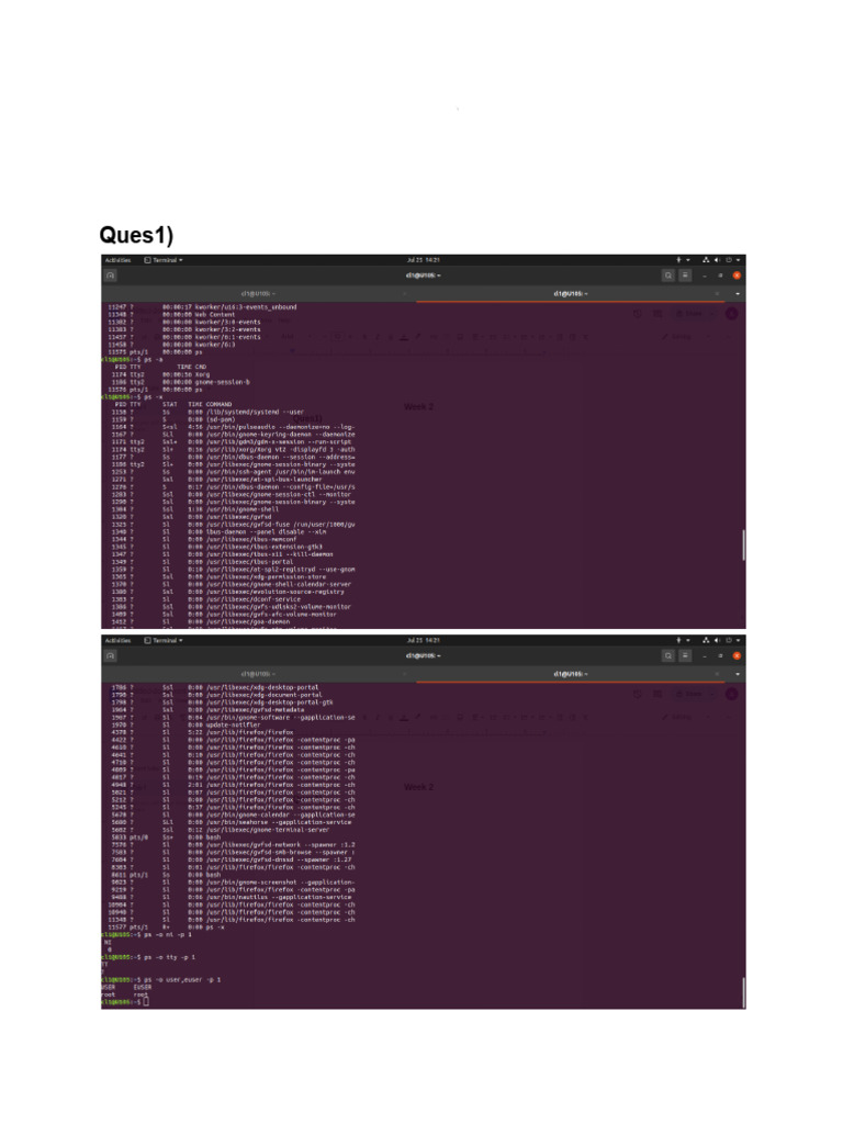 Shourya Ossp Lab W2 | PDF | Information Technology | Computing Platforms
