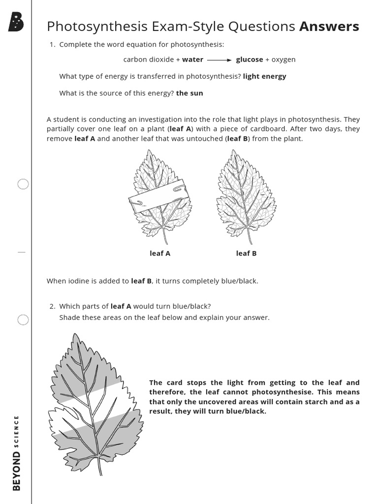 Photosynthesis Exam Q&A Guide | PDF