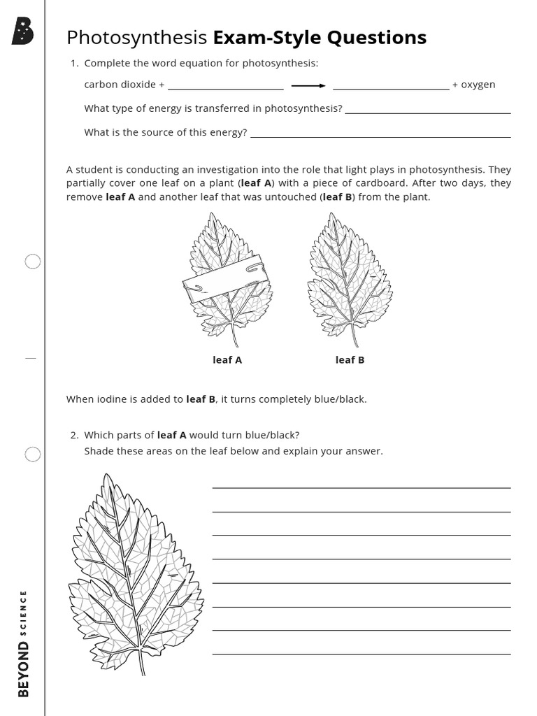 Photosynthesis Exam Style Questions 1 | PDF