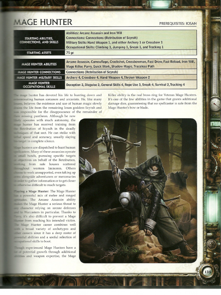 Career - Mage Hunter | PDF