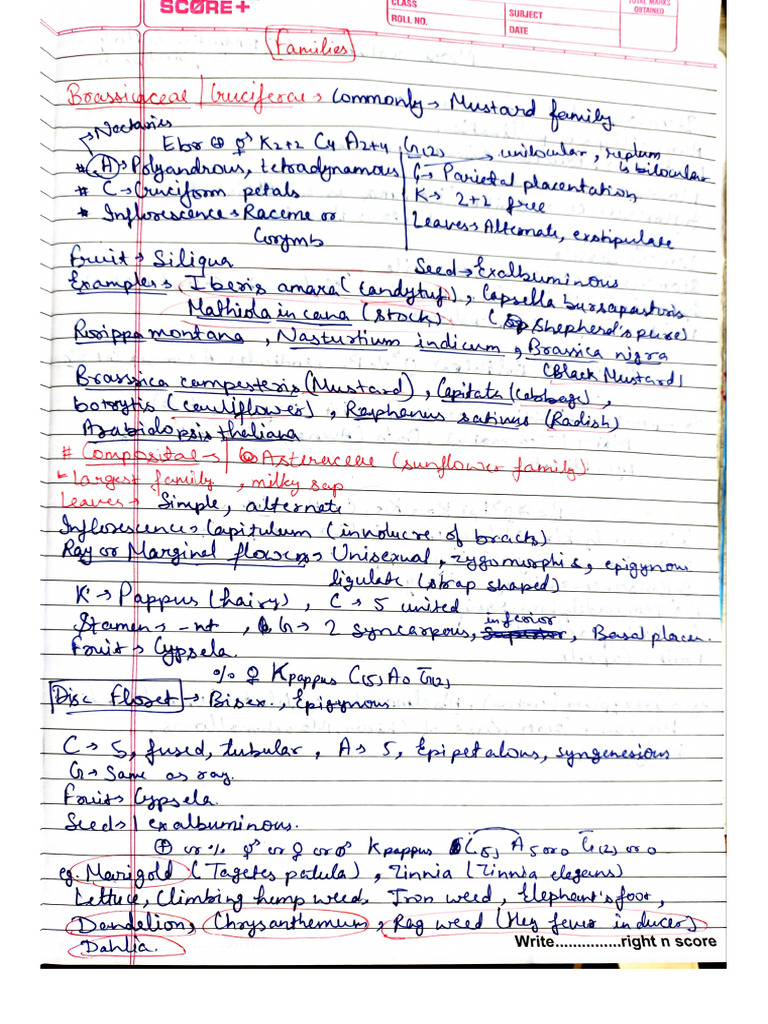 New Families Short Notes | PDF