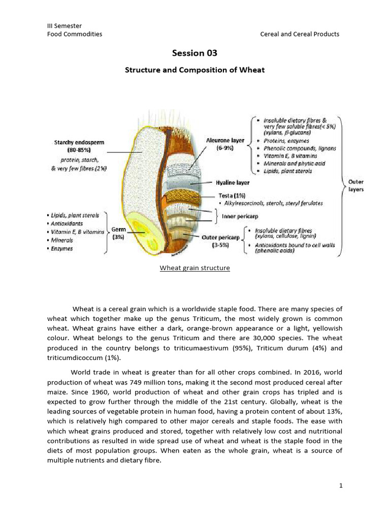 Structure and Composition of Wheat | PDF | Flour | Wheat