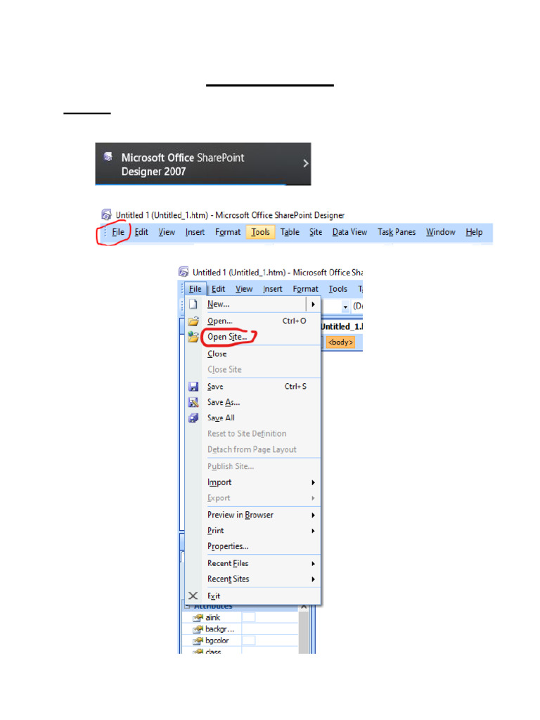 Sharepoint Steps | PDF | Software | Computing