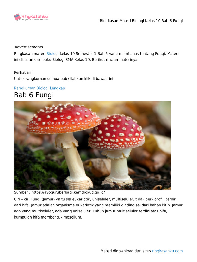 Ringkasan Fungi Kelas 10 Biologi | PDF