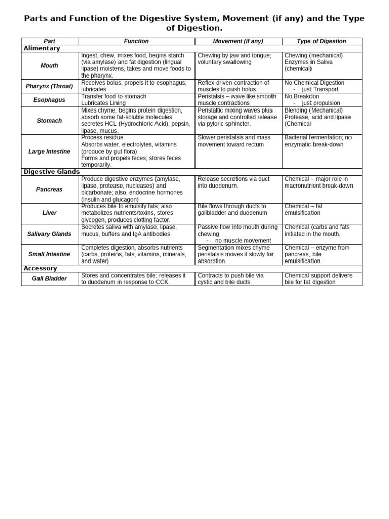 Parts and Functions of The Digestive System Movement If Any and Tyoe of ...