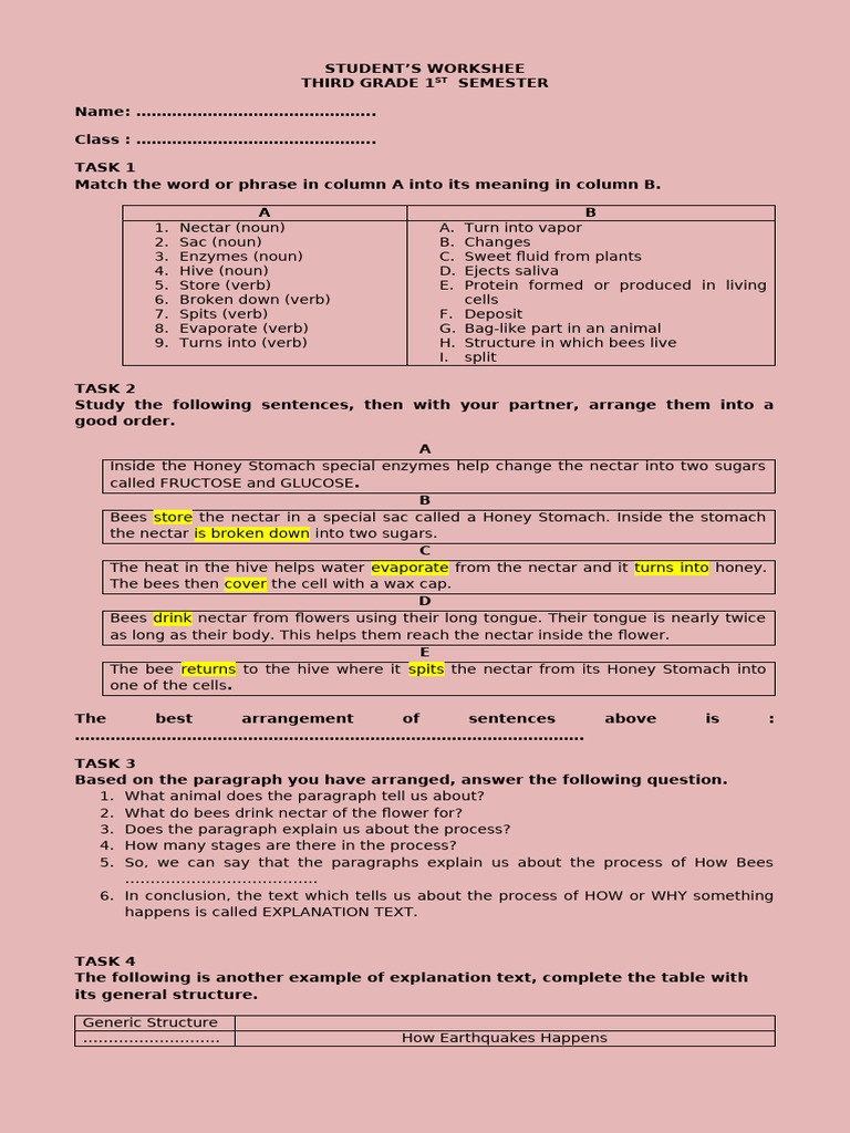 Third Grade Explanation Text Worksheet | PDF | Honey | Earthquakes