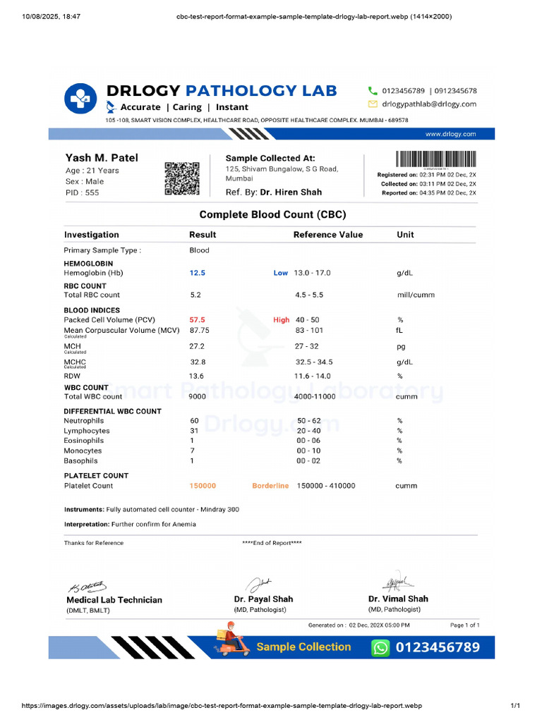 CBC Test Report Template in Hindi | PDF