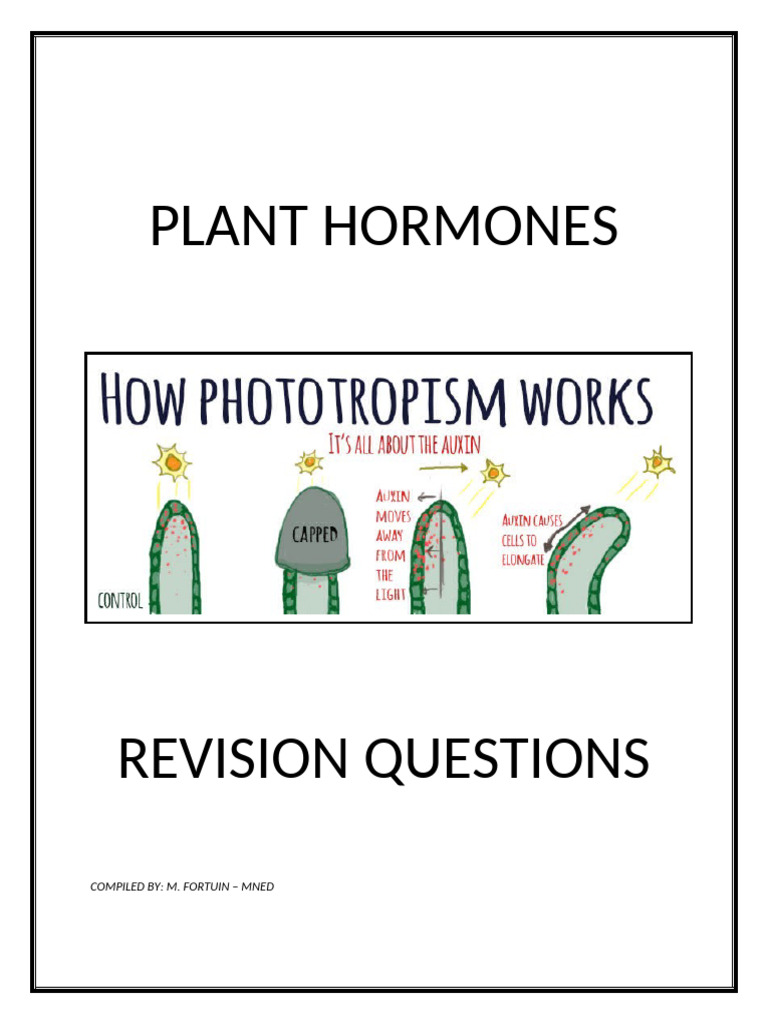 Plant Hormones 2024 | PDF