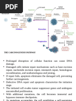The Biology of Cancer: 3rd Edition PDF | PDF | Apoptosis | Carcinogenesis