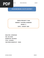 Grade 9 Bridge Design Project Term 1 | PDF | Bridge | Traffic