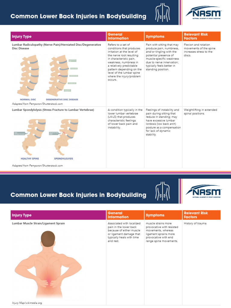 NASM PBC Handout Common Lower Back Injuries in Bodybuilding | PDF ...
