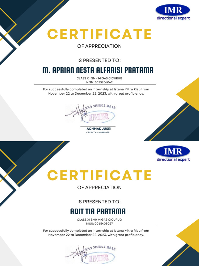 Imr e Certificate | PDF