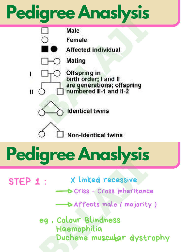 Pedigree Analysis Final | PDF | Dominance (Genetics) | Zygosity