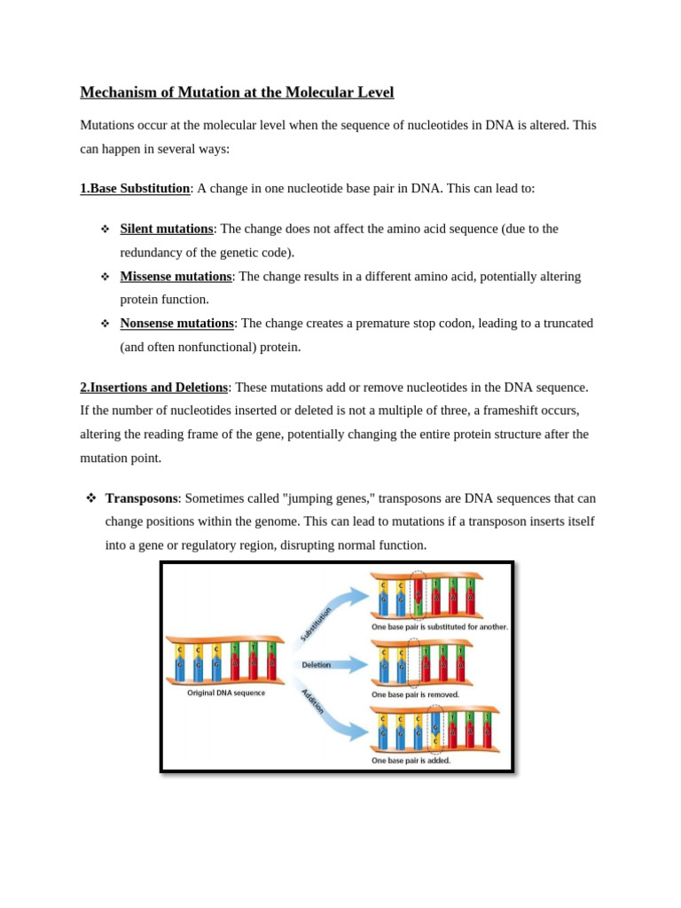 Molecular Mechanisms of DNA Mutation | PDF | Mutation | Dna Repair