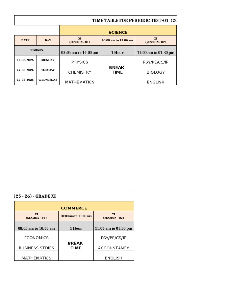 Grade 11 Timetable for 2025 | PDF