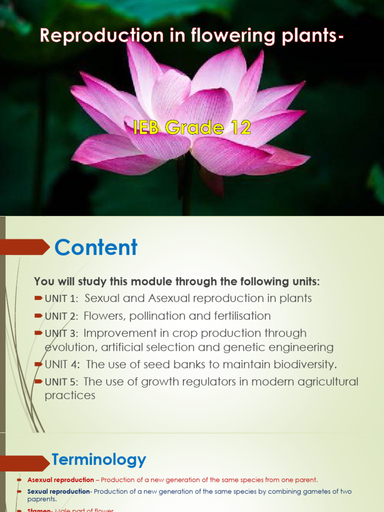 Reproduction in Plants and Animals | PDF | Sexual Reproduction | Flowers