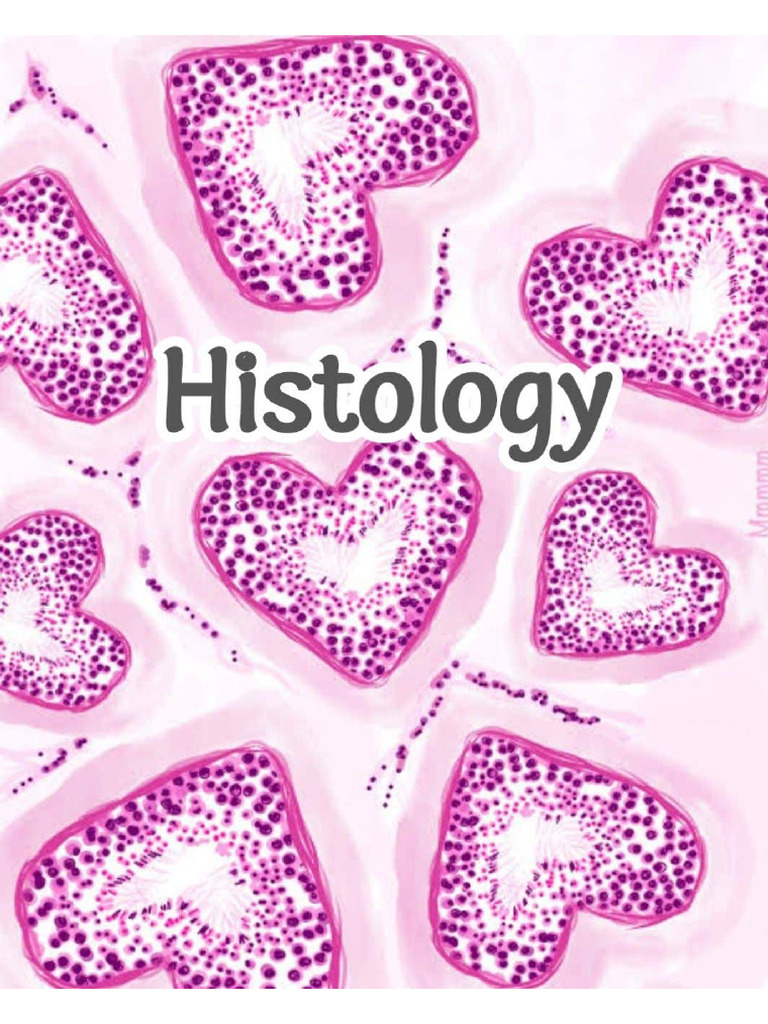 Histology All Slides | PDF