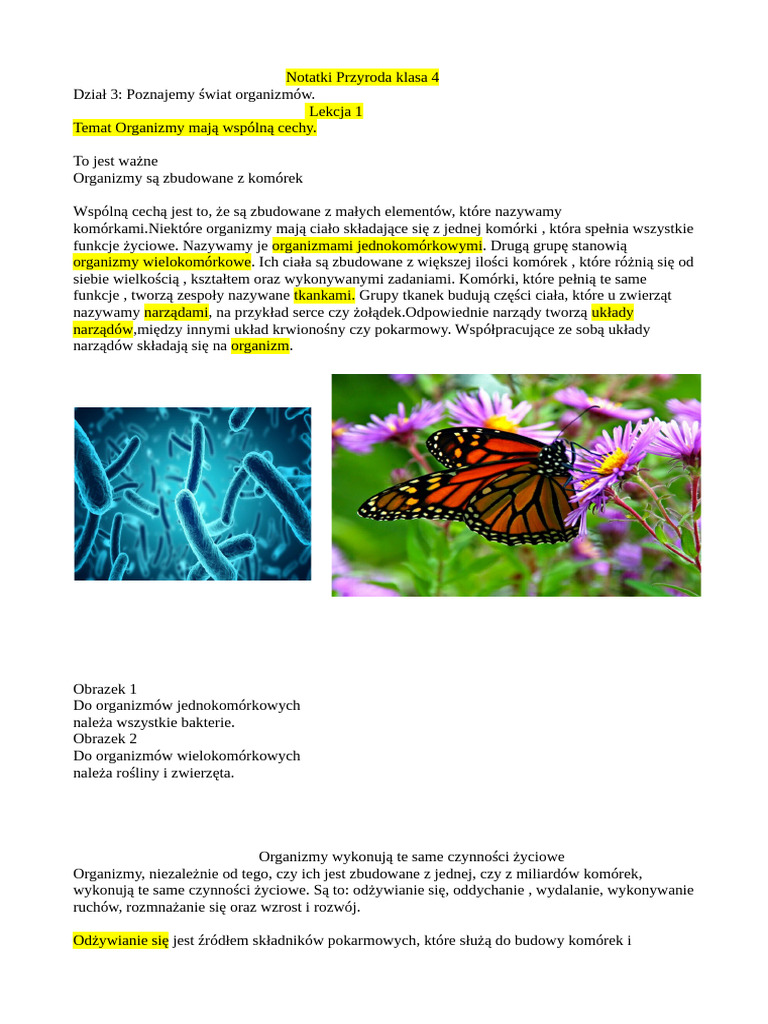 Notatki Przyroda Klasa 4 Dzial 3 | PDF