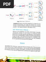 Biology Chapter 10 Cell Cycle and Cell Division Class 11 Notes PDF ...