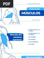 Anatomia e Funções do Bíceps Braquial | PDF | Membros (anatomia ...
