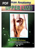 Triangular Space - Borders - Contents - TeachMeAnatomy | PDF