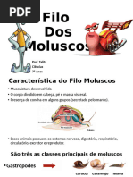 Anatomia e Reprodução do Polvo | PDF | Polvo
