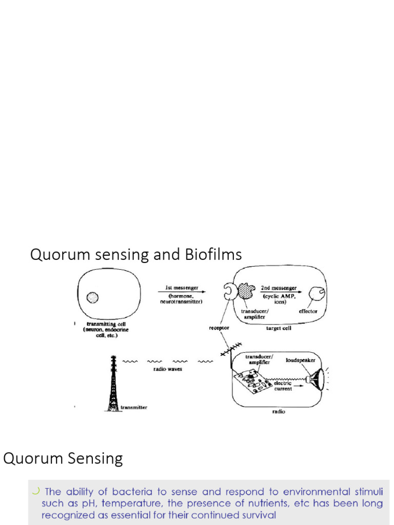 Quorumsensing and Biofilm Formation | PDF