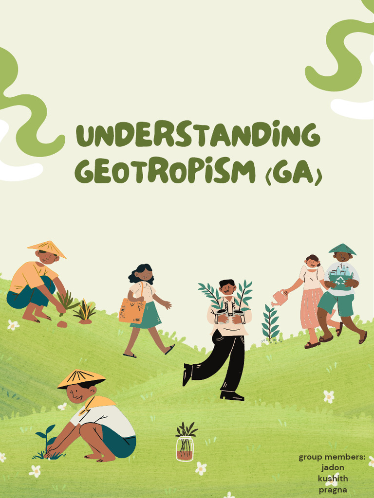 Exploring Root Geotropism in Plants | PDF | Root | Auxin