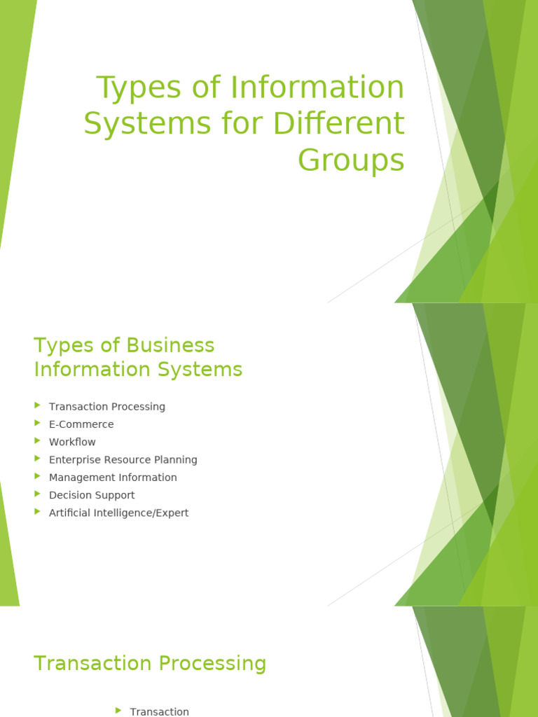 Business Information Systems Overview | PDF | System | E Commerce