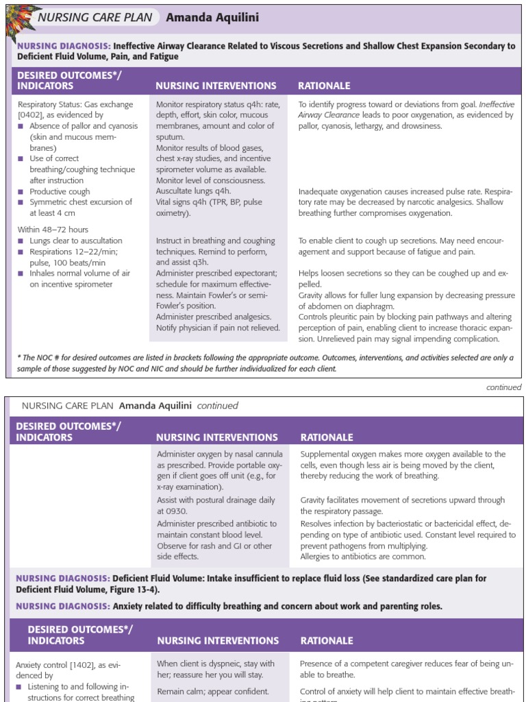 Nursing Care Plan Sample 3 | PDF | Nursing | Breathing