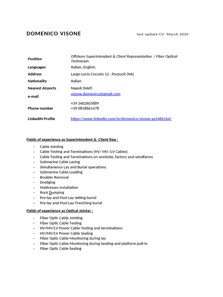 Domenico Visone: Offshore Superintendent CV | PDF