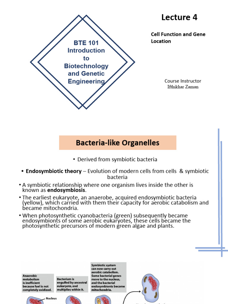 BTE 101 Lecture 4 | PDF | Cell (Biology) | Gene