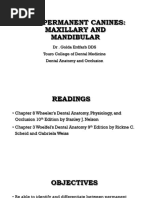 Maxillary and Mandibular Canine Morphology | PDF | Dental Anatomy ...