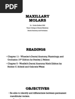 Morphology of Permanent Maxillary 3rd Molar | PDF | Dental Anatomy ...