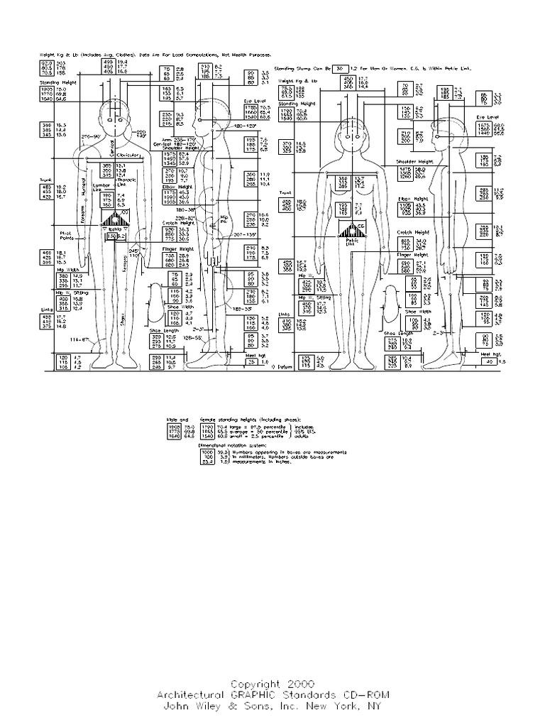 Anthropometry by Architectural Graphic S | PDF