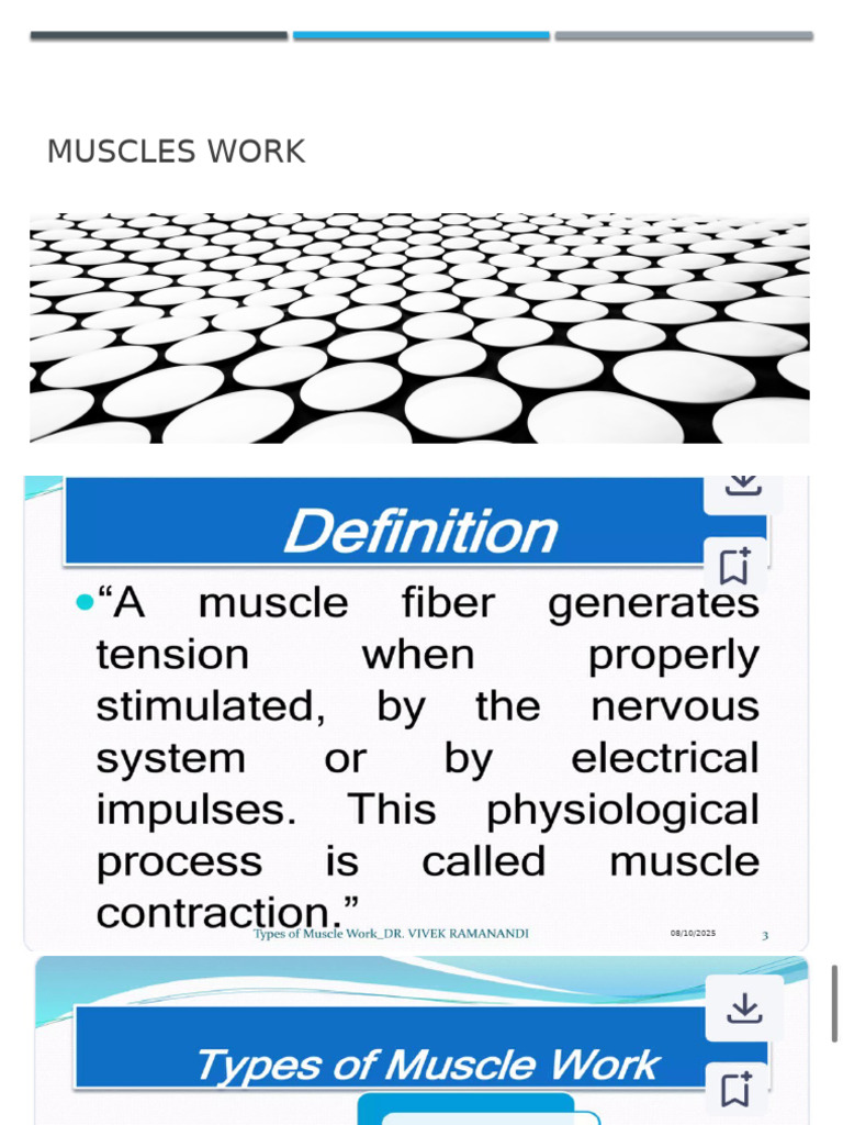 Muscles Work | PDF