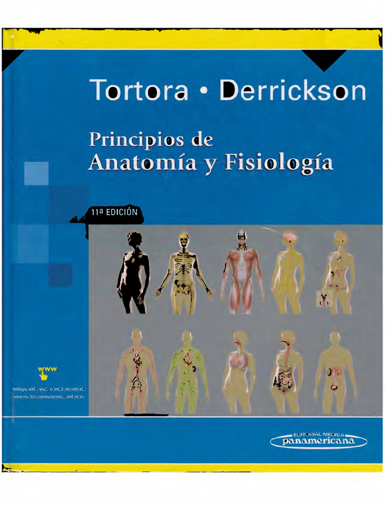 Tortora - Anatomia y Fisiologia Humana-Tortora | PDF