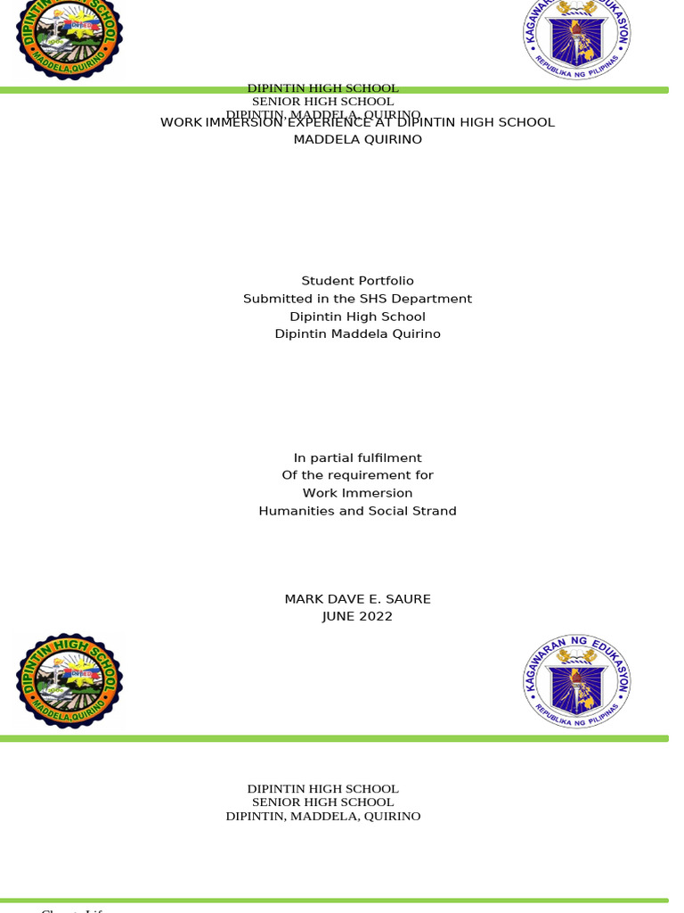 Work Immersion at Dipintin High School | PDF | Learning | Social Psychology