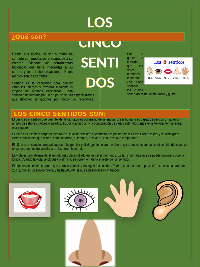 Los cinco sentidos del ser humano | PDF | Sentidos | Gusto