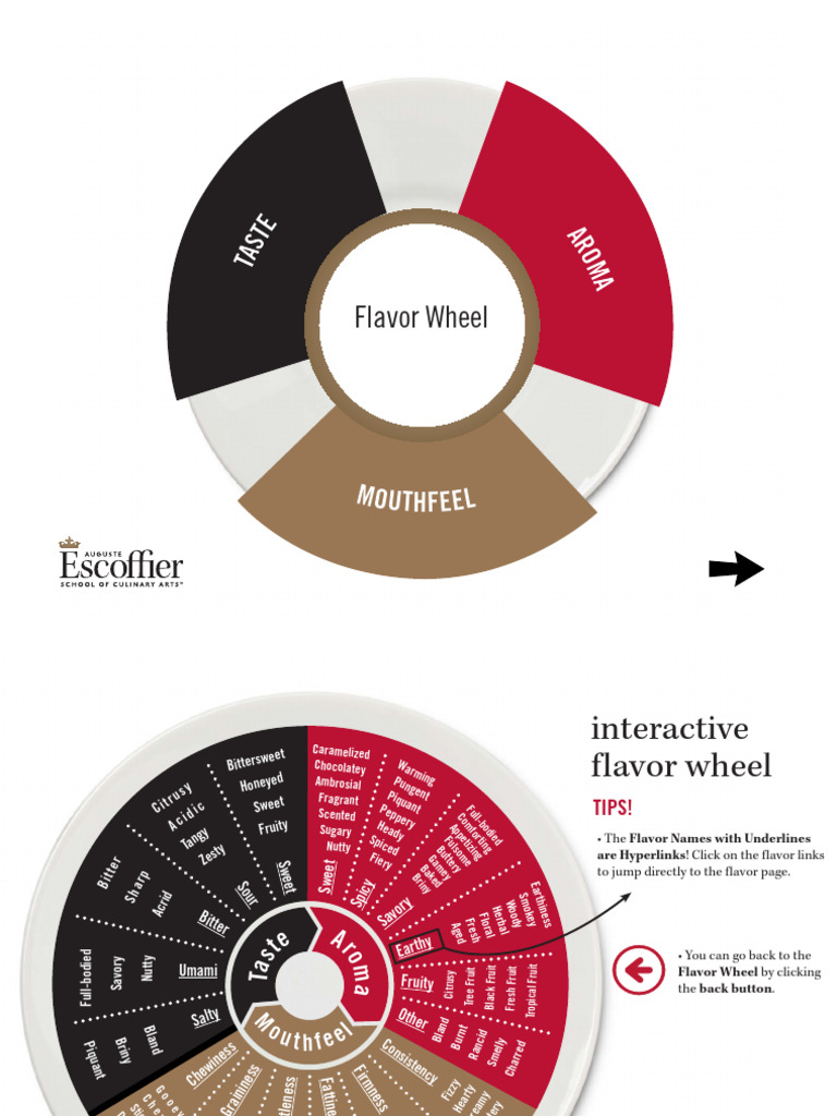 Culinary Flavor and Mouthfeel Wheel | PDF | Taste | Umami