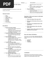 Laboratory Practice Observation of Onion Cells | PDF | Cell (Biology ...