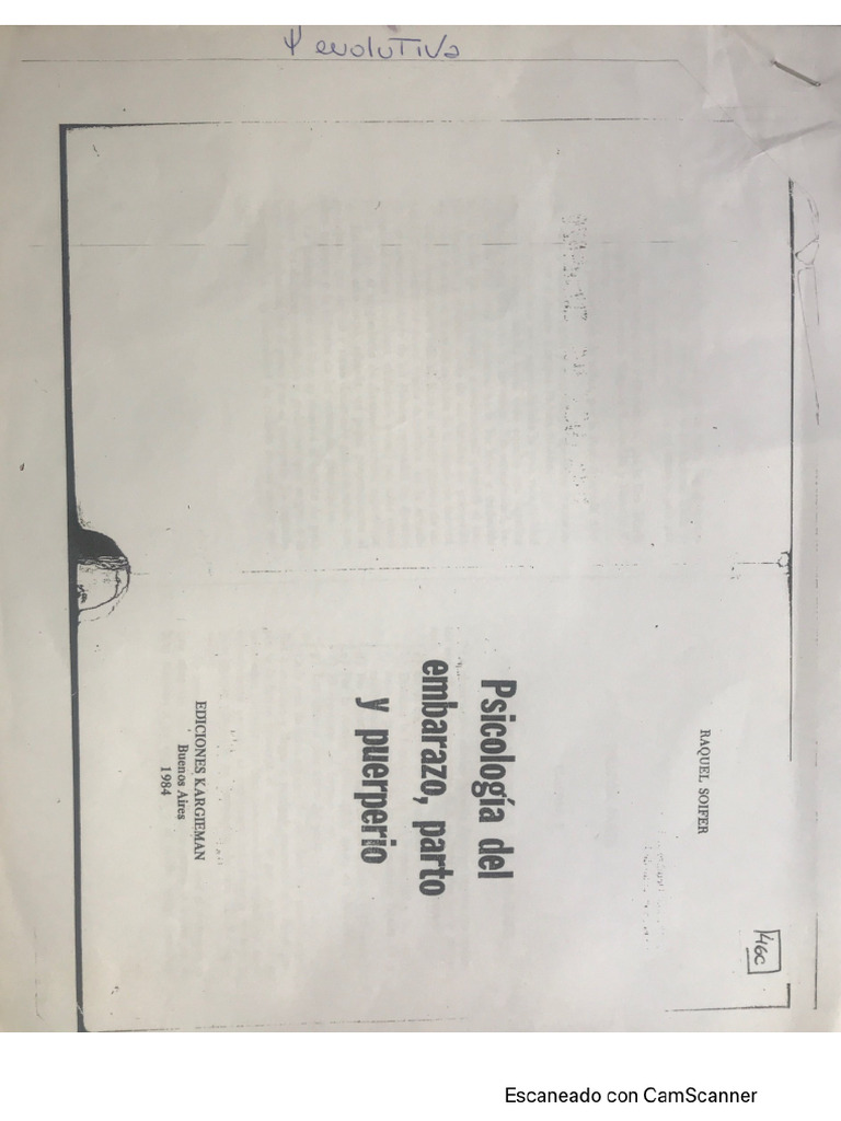 Psicologia Del Embarazo. Raquel Soifer | PDF