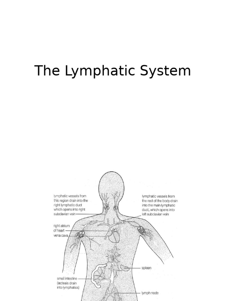 Lymphatic System.. | PDF
