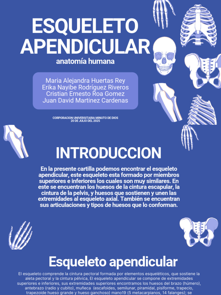 Anatomía del Esqueleto Apendicular | PDF | Mano | Rodilla