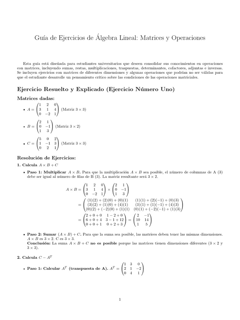 Ejercicios de Álgebra Lineal: Matrices | PDF | Matriz (Matemáticas ...