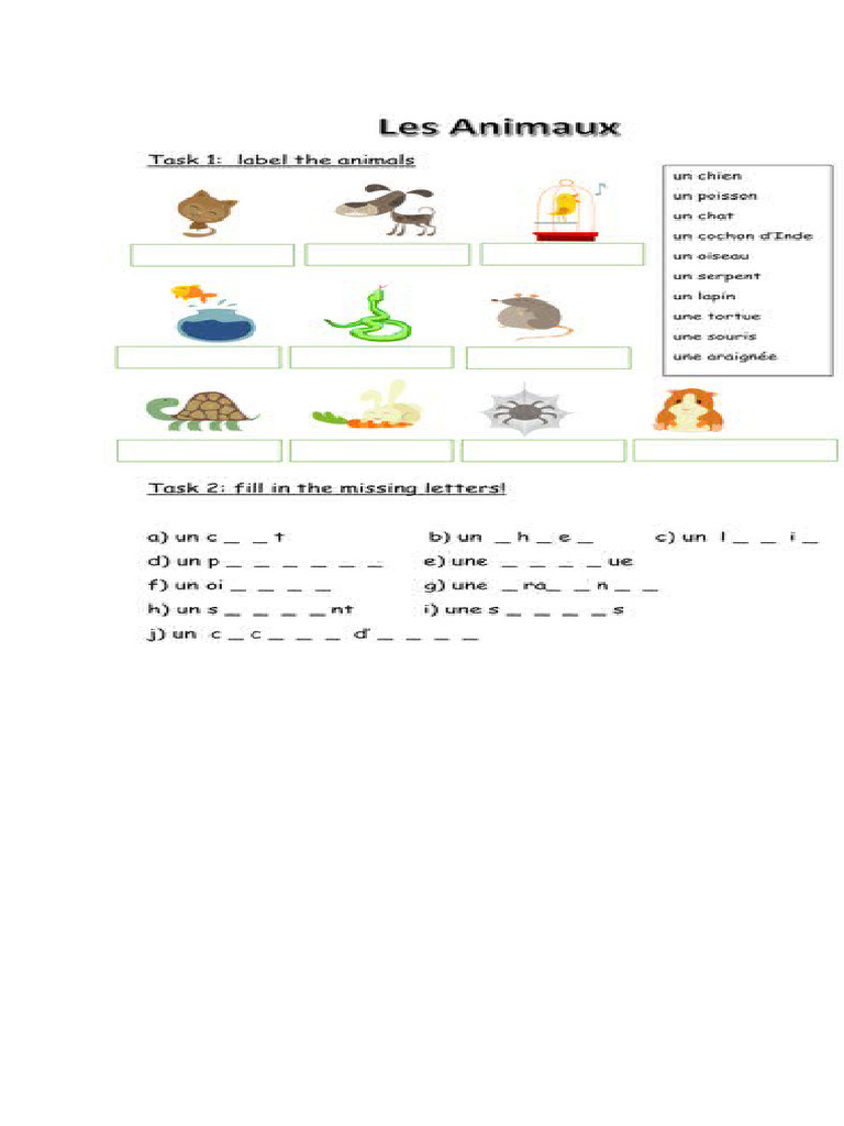 Animal Worksheet Year 6 | PDF